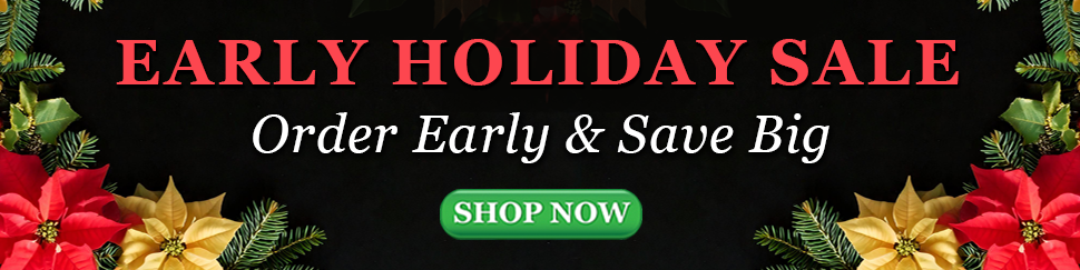 Corpus Christi Florist. Corpus Christi TX Flower Delivery. Avas Flowers ...