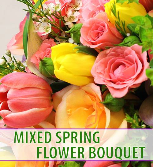 Mixed Spring Flowers | Avas Flowers