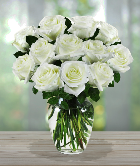White Sympathy Roses | Avas Flowers